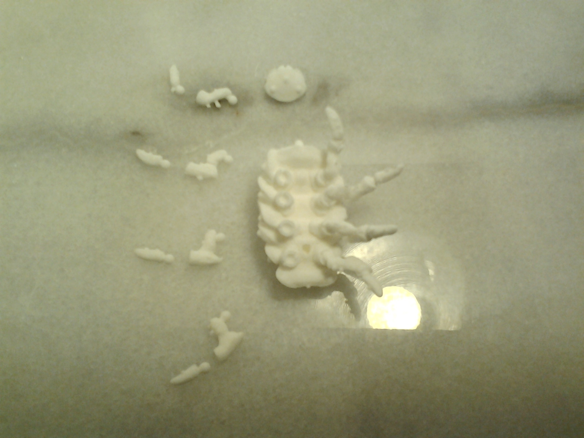 🎨 Articulated Predominant Isopod BJD Kit 3D STL Files with & without ...